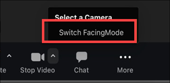 How to connect to Zoom Video with Member Care – Help Center